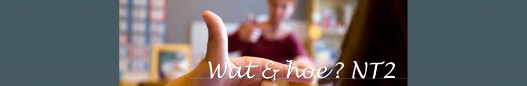 Zien is snappen – Wat & Hoe NT2